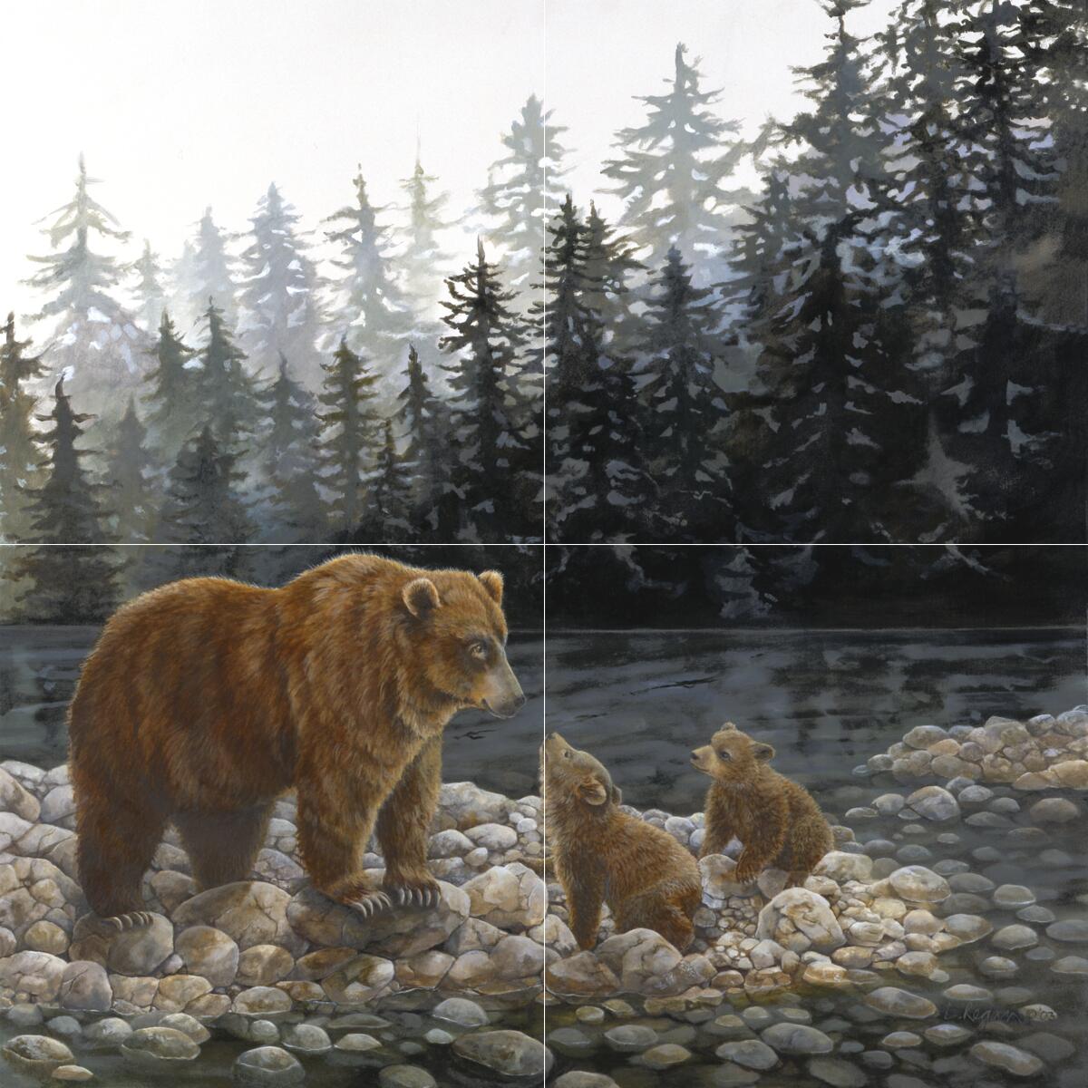 Ceramic Backsplash Tile Mural Bear Wildlife - Grizzlies Lesson by the ...