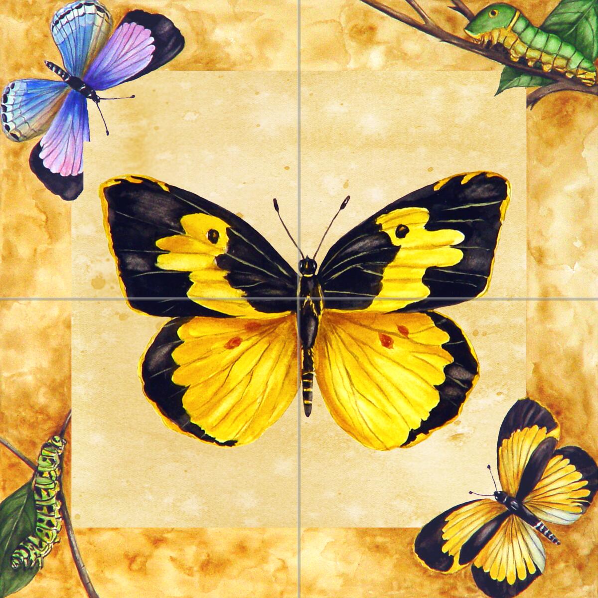 Ceramic Backsplash Tile Mural Butterfly - Dogface Butterfly with ...