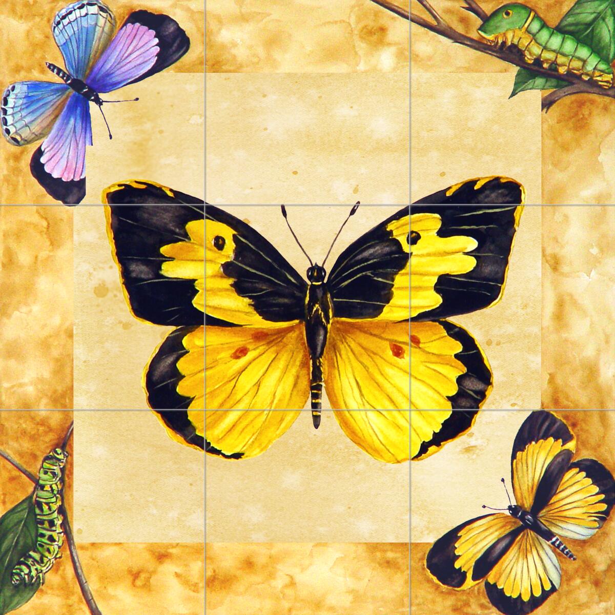 Ceramic Backsplash Tile Mural Butterfly - Dogface Butterfly with ...