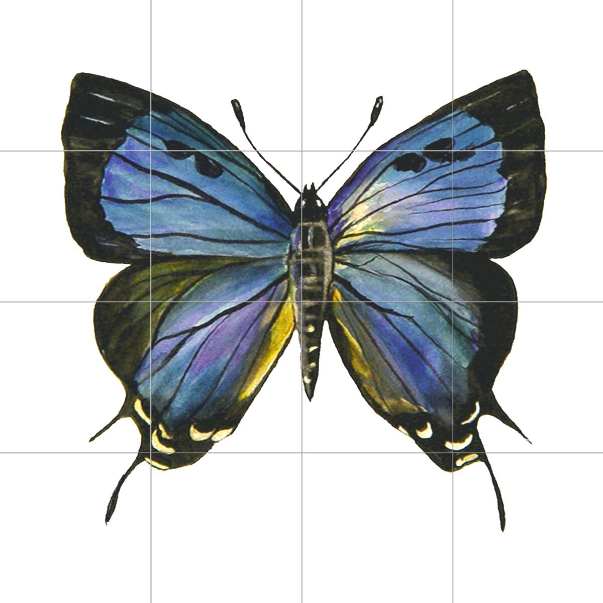 Ceramic Backsplash Tile Mural Butterfly - Great Purple Hairstreak ...