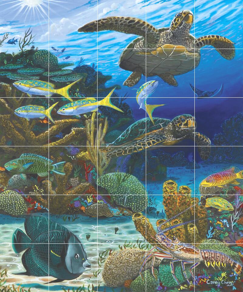 Ceramic Backsplash Tile Mural Sea Turtle Sea Ocean Life - Caymen ...