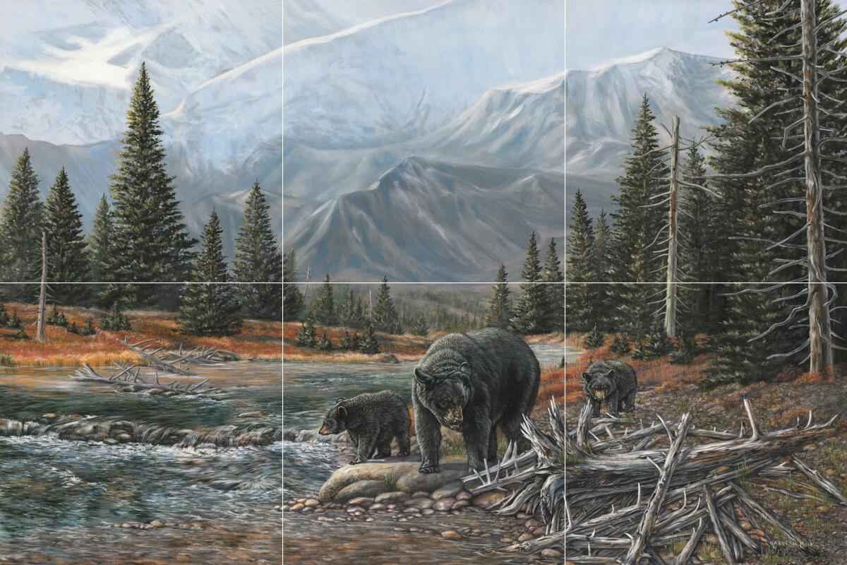 Ceramic Backsplash Tile Mural Bear Wildlife Kitchen/Bathroom - Black ...