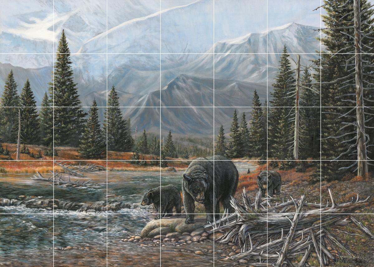 Ceramic Backsplash Tile Mural Bear Wildlife Kitchen/Bathroom - Black ...