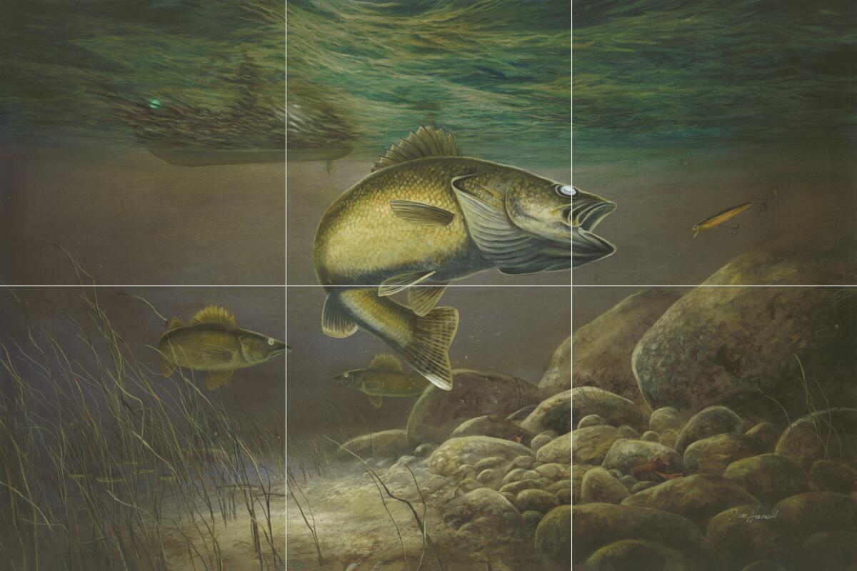 Ceramic Backsplash Tile Mural Fishing Kitchen/Bathroom/Shower - Taking ...