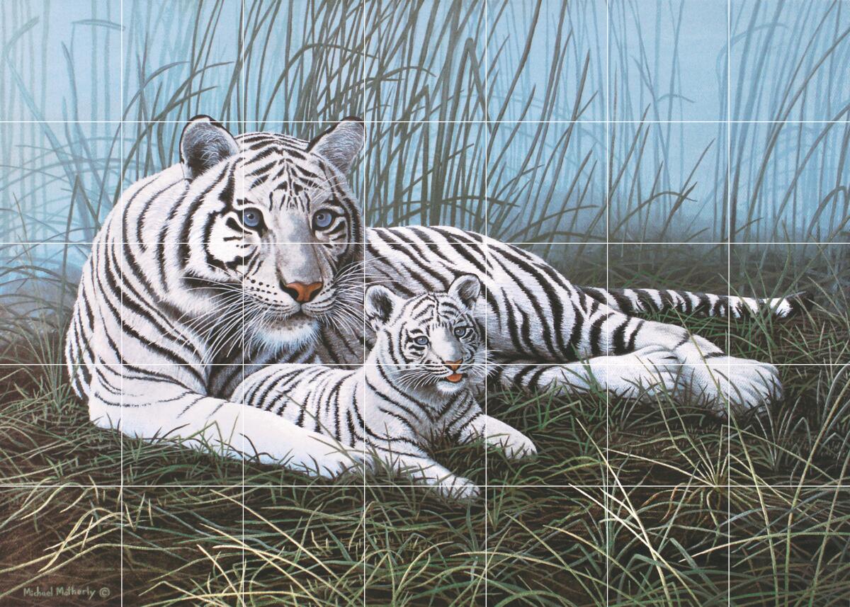 Ceramic Backsplash Tile Mural Big Cat Kitchen/Bathroom - White Tigers ...