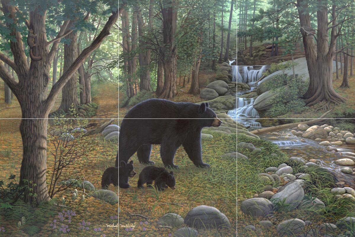 Ceramic Backsplash Tile Mural Bear Kitchen/Bathroom - Early Morning ...