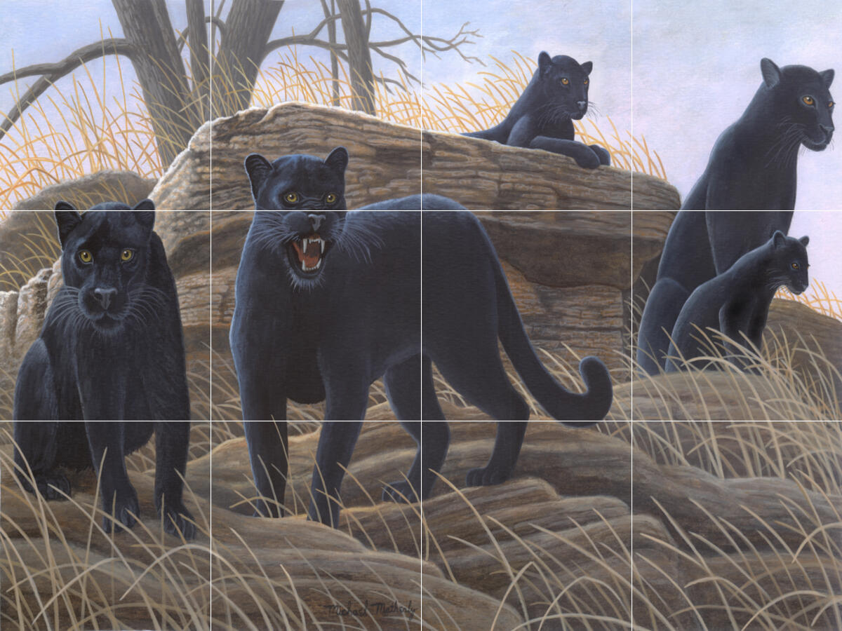 Ceramic Backsplash Tile Mural Big Cat Wildlife Kitchen/Bathroom - No ...