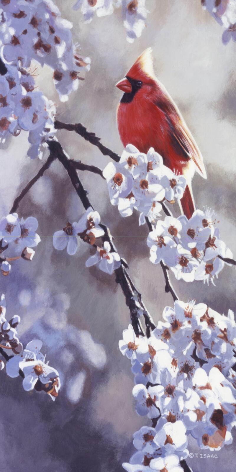 Ceramic Backsplash Tile Mural Bird Kitchen/Bathroom - Spring Light ...
