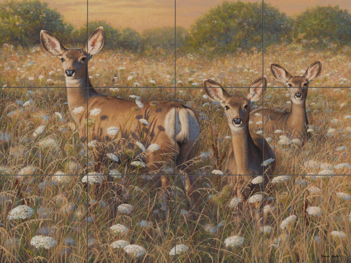 Ceramic Tile Mural Kitchen Backsplash - Wrapped Light Lace-Deer Animals ...