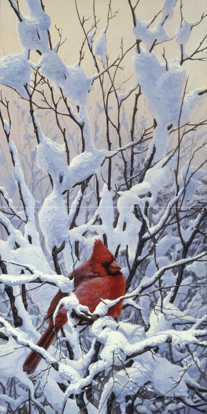 Tile Mural Kitchen Backsplash - Winter Perch - Cardinal-Bird Avian ...